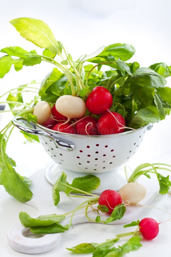 Fresh radish stock image. Image of healthy, colander - 18749537