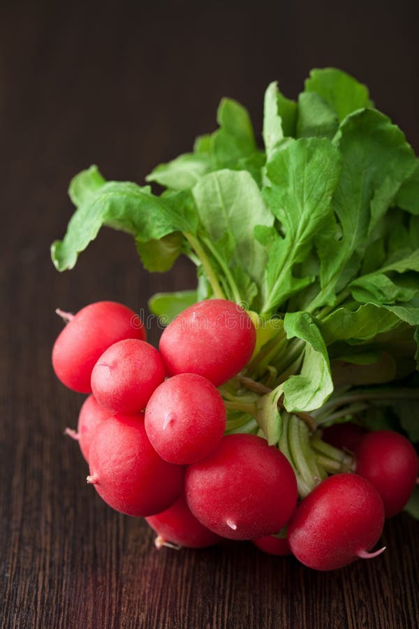 Fresh radish stock photo. Image of ingredient, healthy - 18977162