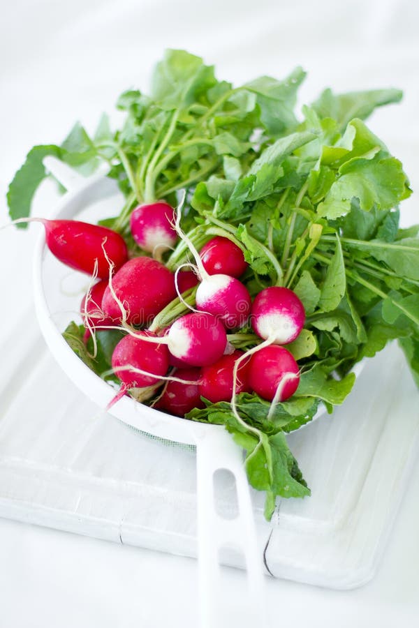 Fresh Radish At Farmers Market Stock Image - Image of delicious, market ...