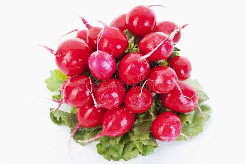 Fresh radish stock photo. Image of kitchen, sharp, healthy - 20301742