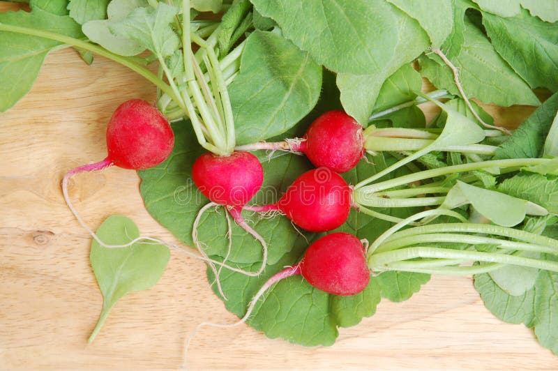 Fresh radish stock image. Image of bunch, cutting, leaves - 23151259