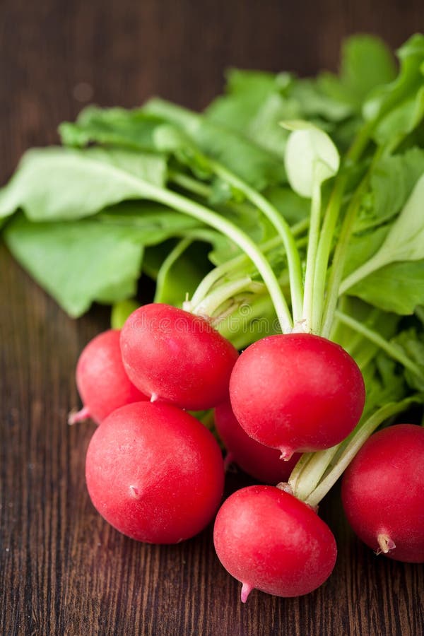 Fresh radish stock image. Image of season, ripe, radish - 23243725