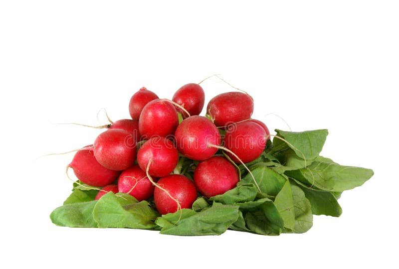 Fresh radish stock photo. Image of freshness, healthy - 2356372