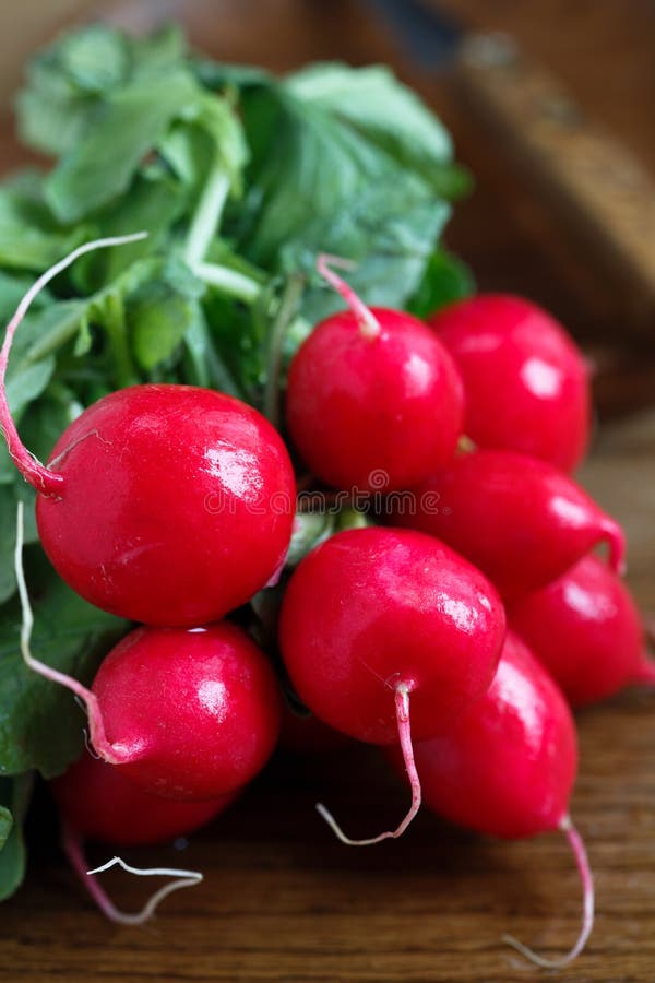 Fresh radish stock photo. Image of dieting, vegetarian - 26772510