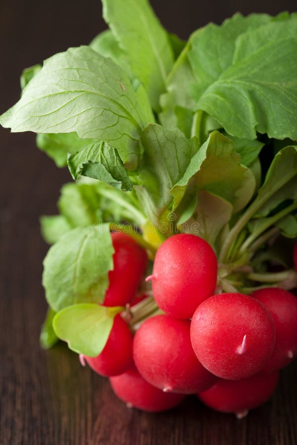 Fresh radish stock photo. Image of freshness, food, small - 29486058