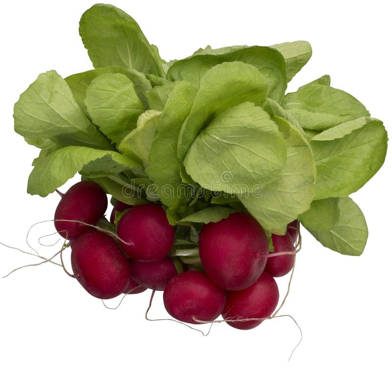 Fresh Radish at Farmers Market Stock Image - Image of delicious, market ...