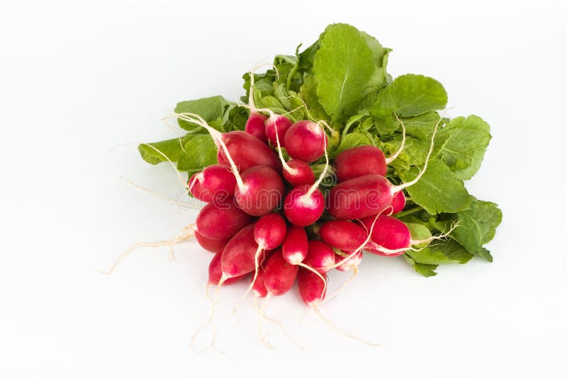 Fresh radish bunch stock image. Image of healthy, ripe - 9426317