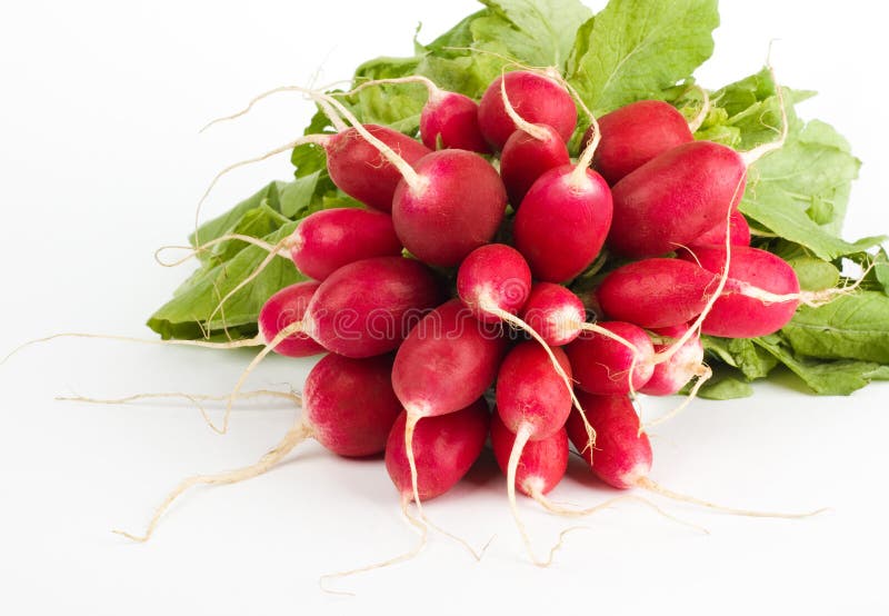 Radish Bunch with Dirt, in Hand Stock Image - Image of meal, nutrition ...
