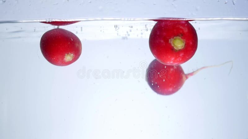 Fresh Radish Falling in Water Splash on White Background Stock Video ...