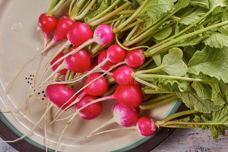 Fresh Radish with Leaves on Plate Stock Image - Image of leaf ...