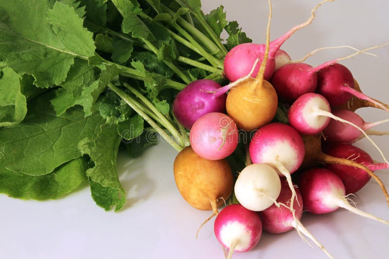 Fresh Radish on White Background Stock Image - Image of ripe, nature ...