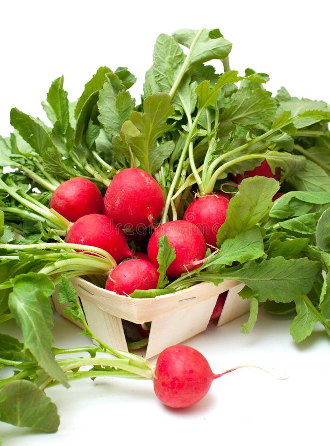 Fresh Radish in a Wooden Basket Stock Image - Image of ingredient ...