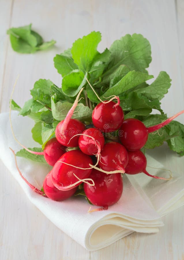 Fresh radish stock image. Image of leaf, root, raddish - 19573927