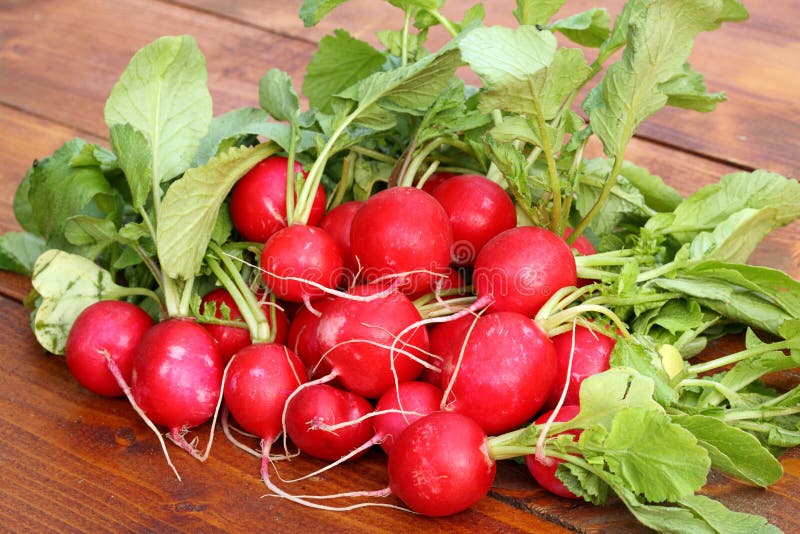 Fresh radishes. stock image. Image of organic, produce - 14734599