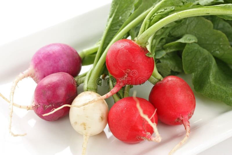 Fried radish stock photo. Image of radish, asia, apptite - 6117036