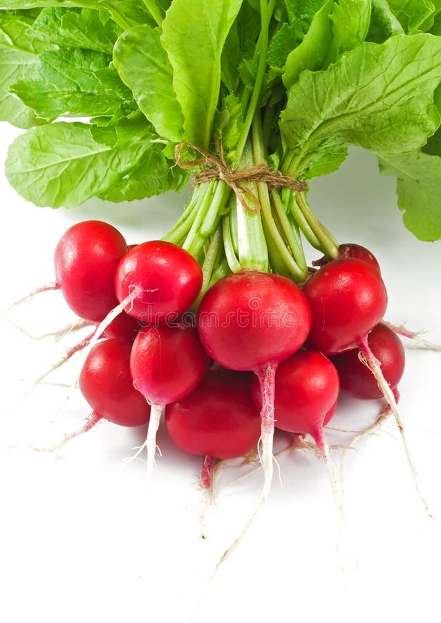 Fresh radishes stock image. Image of freshness, health - 19740385