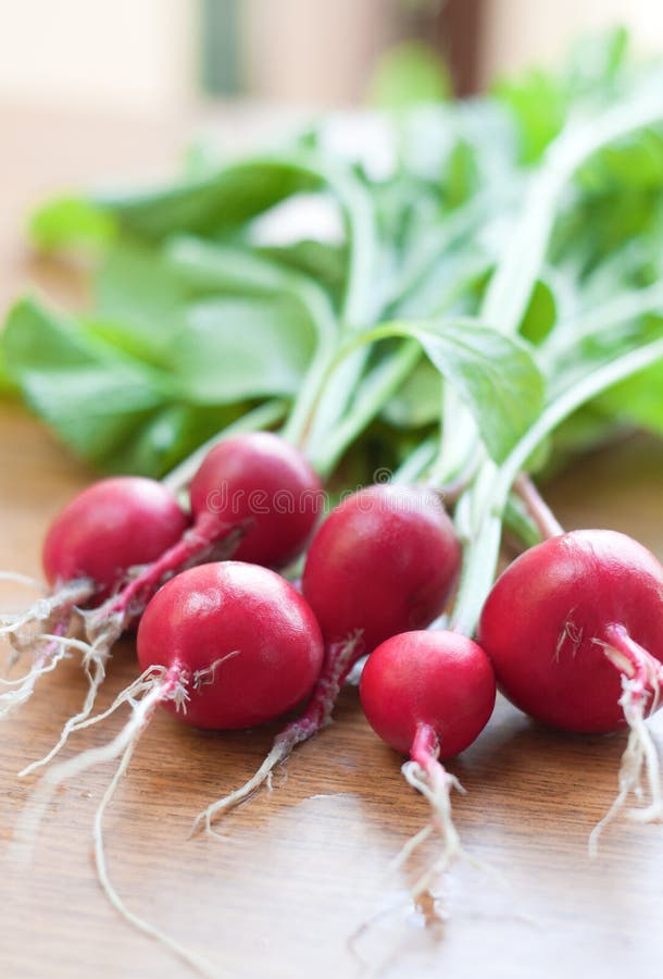 Radish Bunch stock photo. Image of natural, white, fruit - 26868380