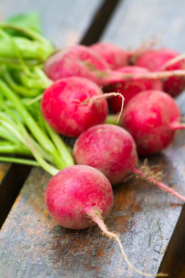 Fresh radishes stock image. Image of fresh, leaf, organic - 25439279