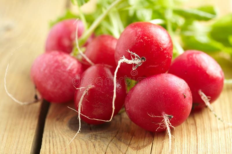 Fresh radishes stock photo. Image of vegetable, organic - 35749662