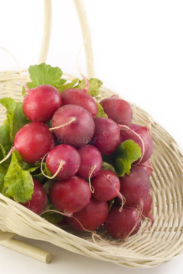 Fresh Radishes in a Basket stock photo. Image of natural - 13033406