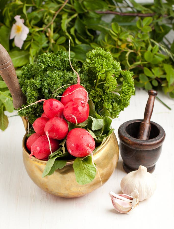 Fresh radishes with garlic stock image. Image of nature - 19627207