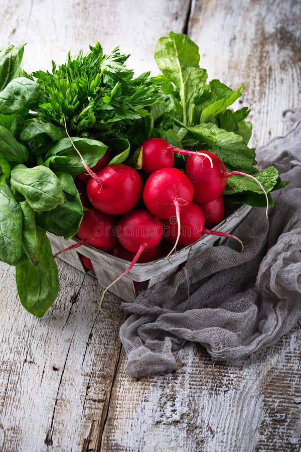 Radishes and Spinach stock photo. Image of roots, vegetable - 66282730
