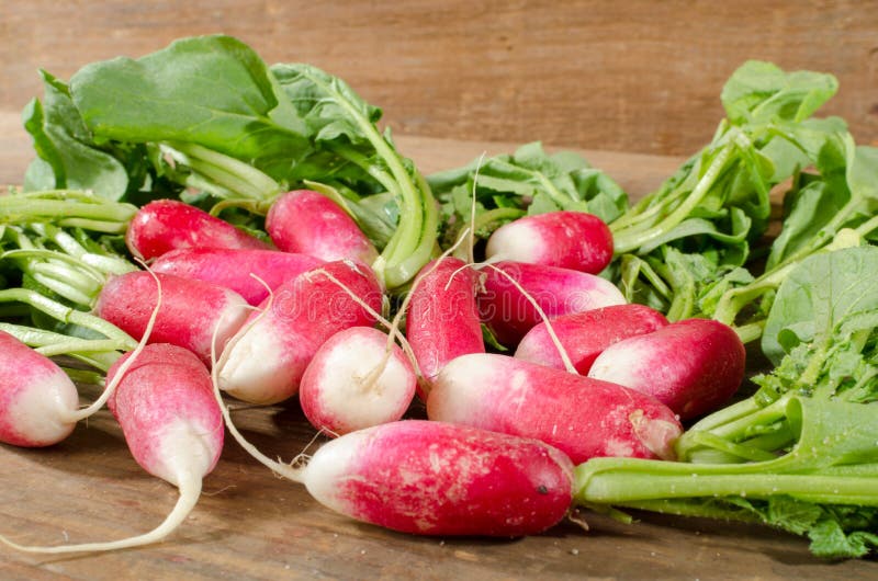 Fresh radishes stock image. Image of leaf, freshness - 56856785
