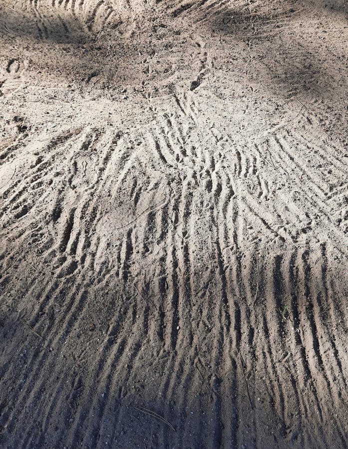 Fresh Rake Marks on the Sand Stock Photo - Image of rake, texture ...