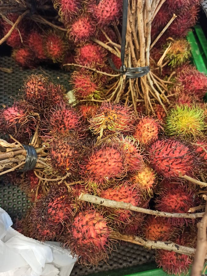 Fresh rambutan fruit stock photo. Image of rambutan - 210180532