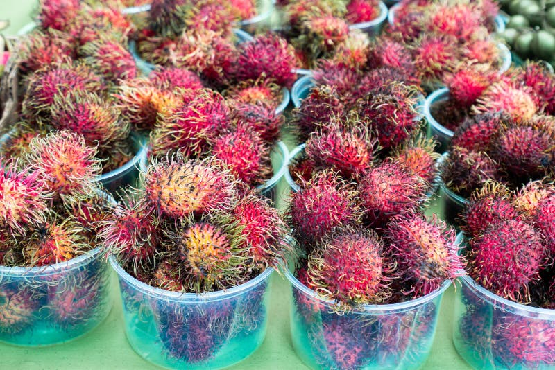 Fresh Rambutan Lychee in Small Containers. Stock Photo - Image of lichi ...
