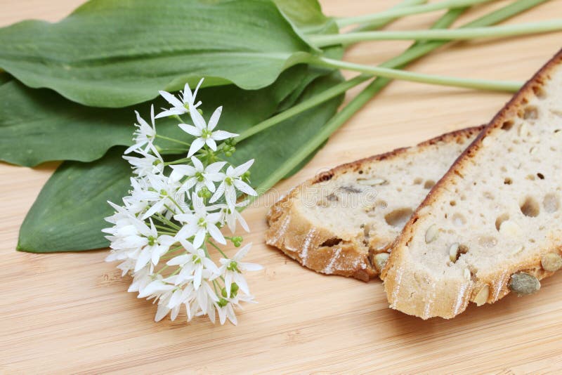 Fresh ramson stock image. Image of herb, onion, board - 14407201