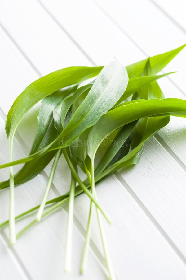 Fresh ramsons leaves. stock photo. Image of kitchen, aromatic - 71609720