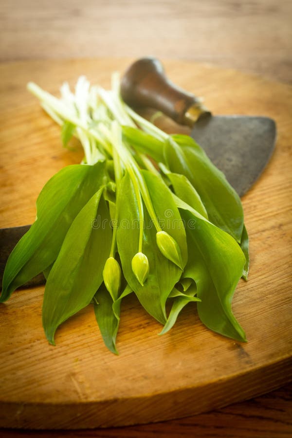 Fresh kitchen herbs stock image. Image of fresh, rosemary - 9917719