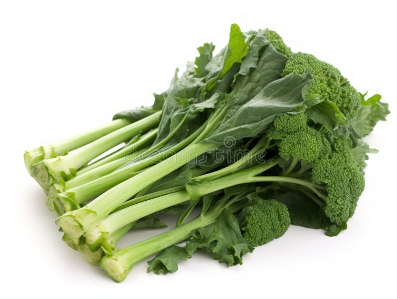 Rapini Stock Illustrations – 132 Rapini Stock Illustrations, Vectors ...