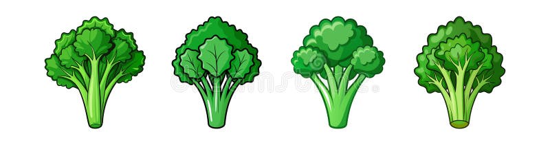 Fresh Rapini Vegetable Color Illustration Stock Illustration ...