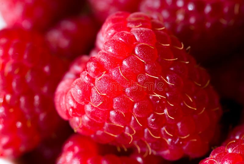 Fresh raspberries stock image. Image of vitamins, close - 10599767