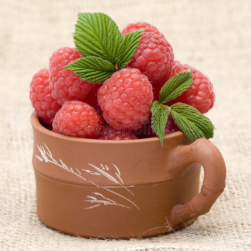 Fresh raspberries stock image. Image of beautiful, closeup - 14887079