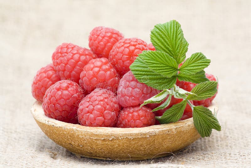 Fresh raspberries stock image. Image of close, fruity - 14887461