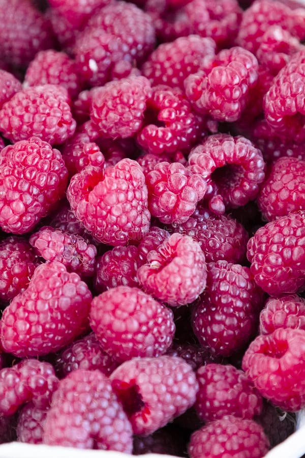 Fresh raspberries stock photo. Image of berry, hull, natural - 15891148