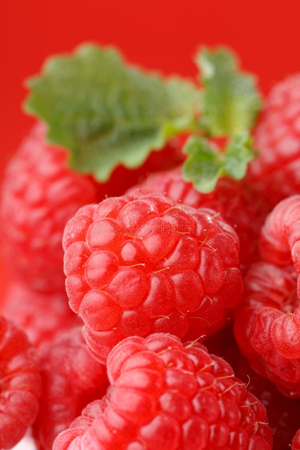 Fresh raspberries stock photo. Image of macro, fresh - 17401786