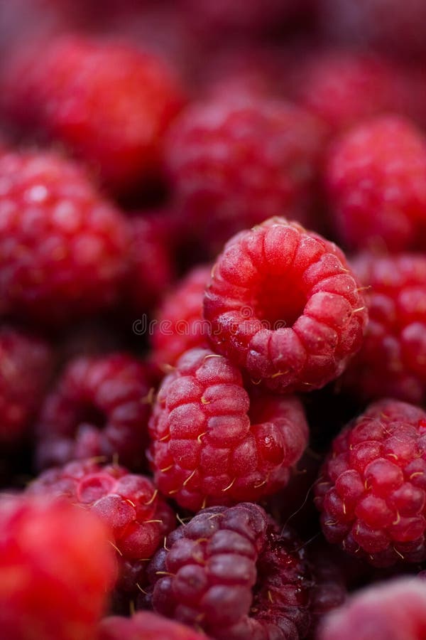 Market stall stock image. Image of green, fresh, groceries - 20925793