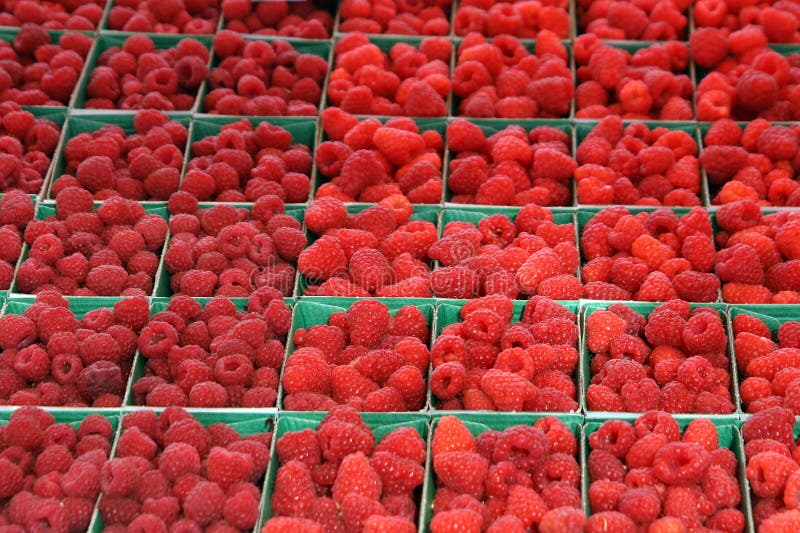 Fresh raspberries stock image. Image of raspberries, juicy - 21918073