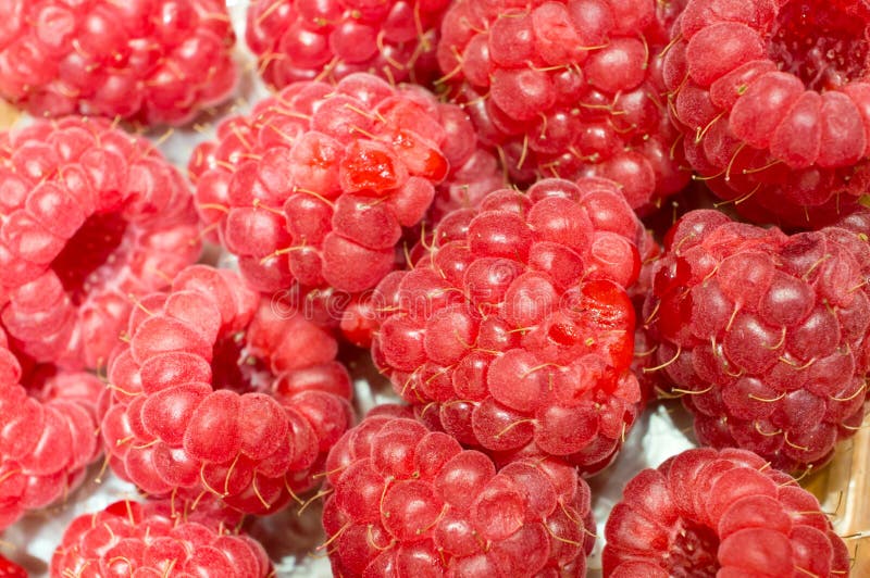 Fresh raspberries stock image. Image of natural, closeup - 22848233