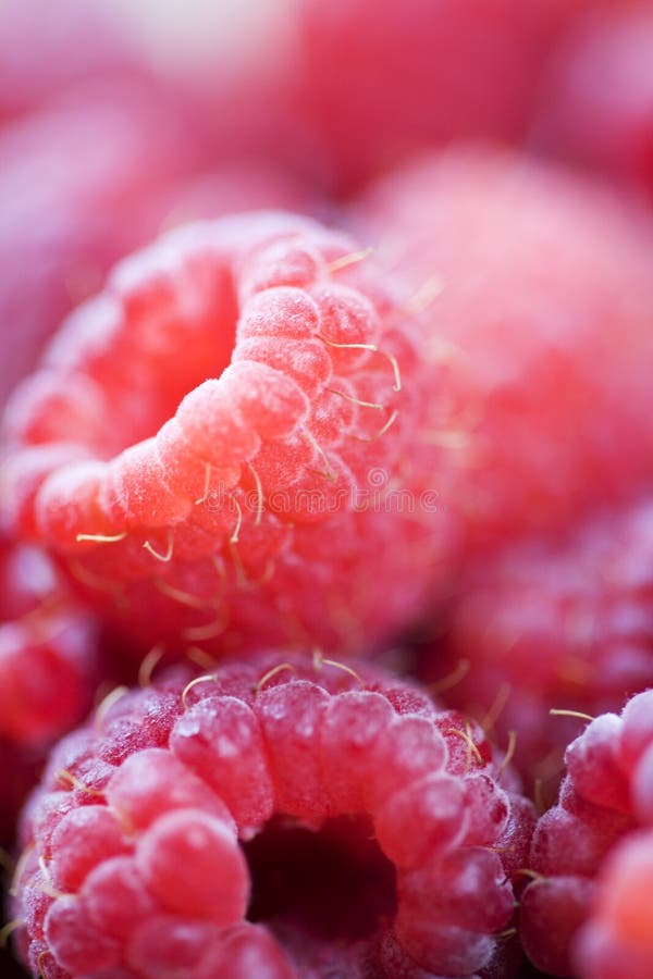 Fresh Raspberries stock image. Image of raspberry, food - 6952199