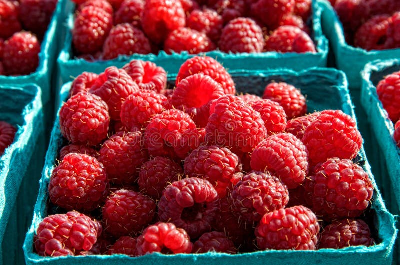Raspberries stock image. Image of closeup, berries, fruit - 12162339