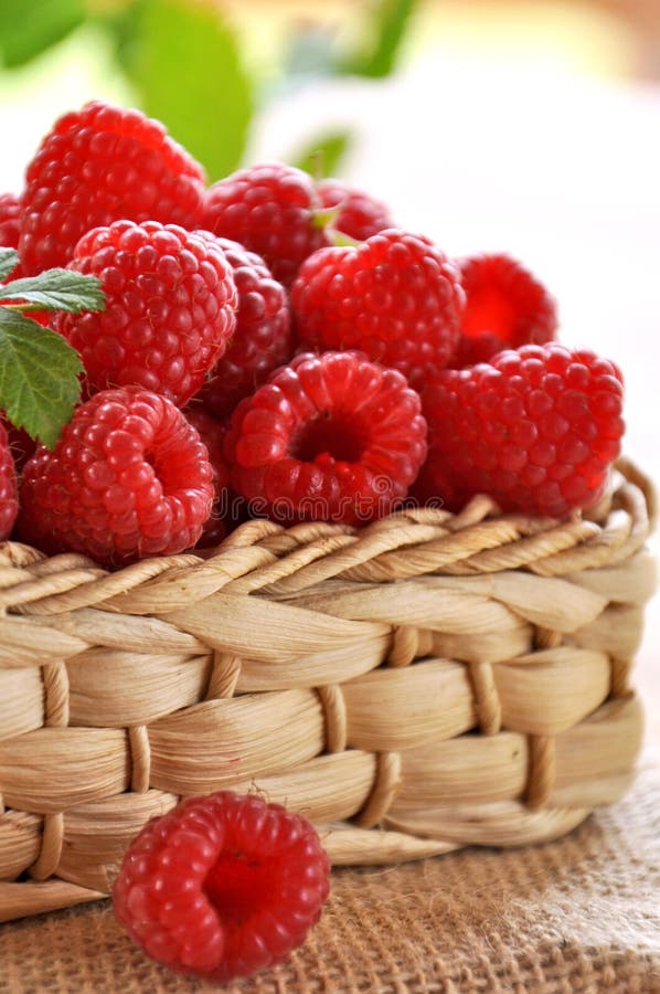 Fresh Raspberries in the Basket Stock Photo - Image of vitamin, summer ...
