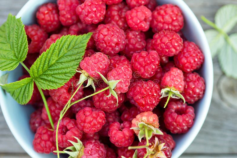 Fresh Raspberries in a Bowl Stock Image - Image of food, colorful: 38092301