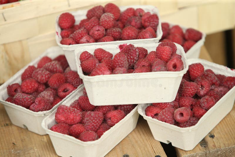 Fresh raspberries in boxes stock image. Image of fruits - 138296125