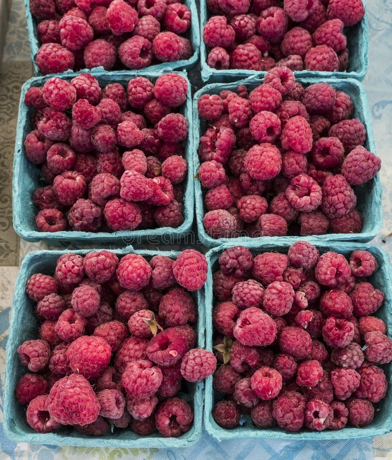 Fresh Raspberries stock photo. Image of container, healthy - 56086042