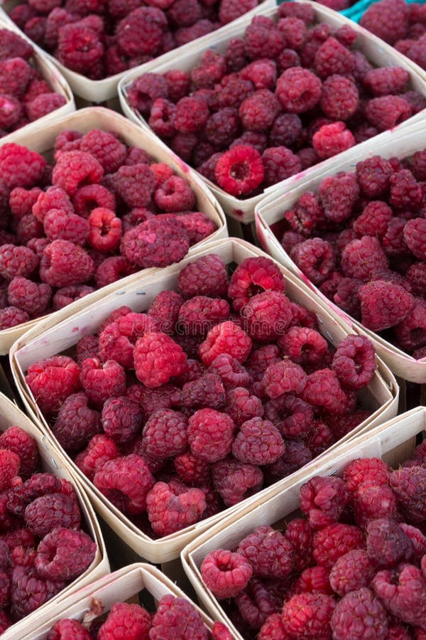 Farm Marekt Stock Photos - Free & Royalty-Free Stock Photos from Dreamstime